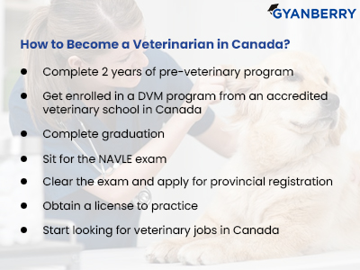 Study Veterinary Medicine in Canada - Gyanberry